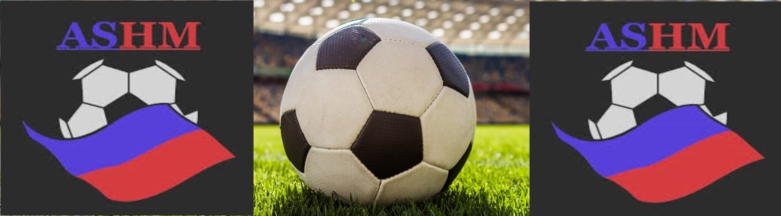Ashm – Ligue de Developpement Soccer11